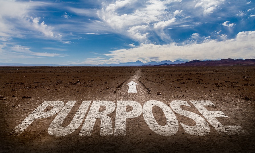 Live With A Purpose The Purpose Of Life Is A Life Of Purpose Jahangir