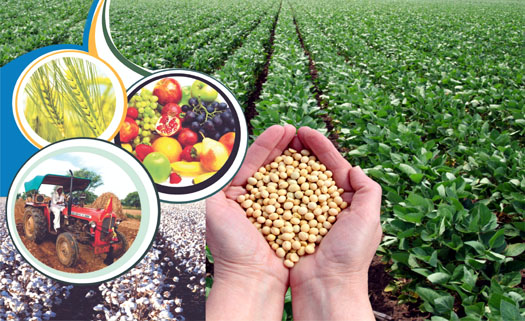 On Need of Promoting Agriculture, The only way to achieve food security ...